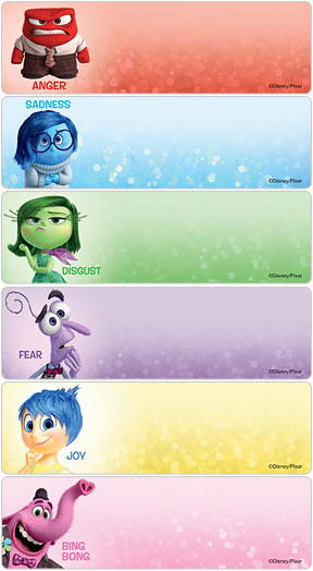 Inside Out Address Labels - SuperValue Checks