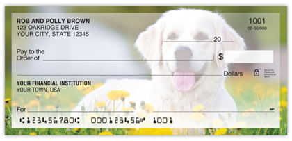 Golden Retriever Personal Checks | SuperValue Checks